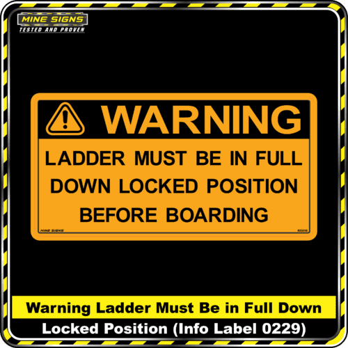 WARNING Ladder must be in full down locked position before
